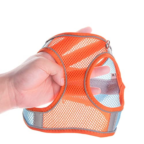 Soft Mesh Dog Harness and Leash Set for Walking Summer Step in Vest Harness Reflective Bands Adjustable No Pull Pet Supplies for Small Dogs and House Cats Belly Bands for Dogs with Snaps (Orange, XS)
