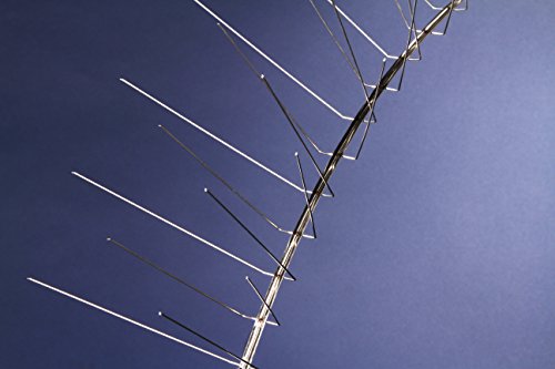 Nixalite Pigeon Spike Stainless Steel Bird Spikes (10 Ft, 5-2 Ft. Strips)