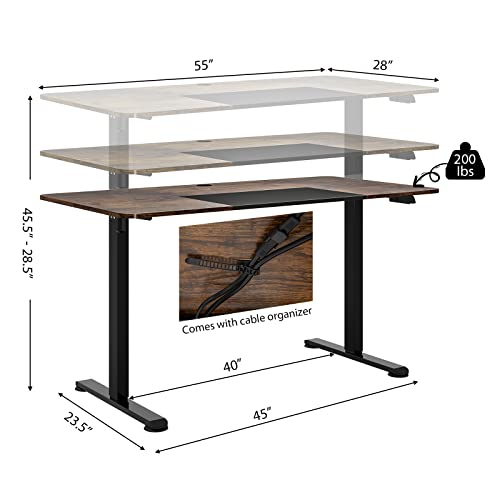 Tangkula 55 x 28 Inch Large Electric Standing Desk, Height Adjustable Sit to Stand Desk with Powerful Motor & Anti-Collision Design, Ergonomic Stand Up Workstation with Metal Frame, Home Office Desk