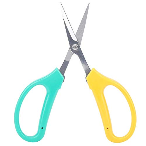 Plant Trimming Scissors, Stainless Steel Fruits Grape Pruning Shears Gardening Scissor for Bonsai Fruit Pruning