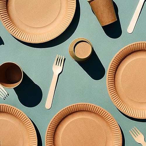 Sihuuu Disposable Wooden Forks, Natural Birch Wood Forks, Cutlery Taster, Green Plain Forks(100 PCS)