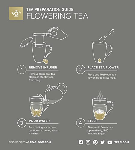 Teabloom Double-Wall Heatproof Glass Mug with Stainless Steel Infuser and White Lid β 15 OZ / 430 ML β 2 Blooming Teas Included