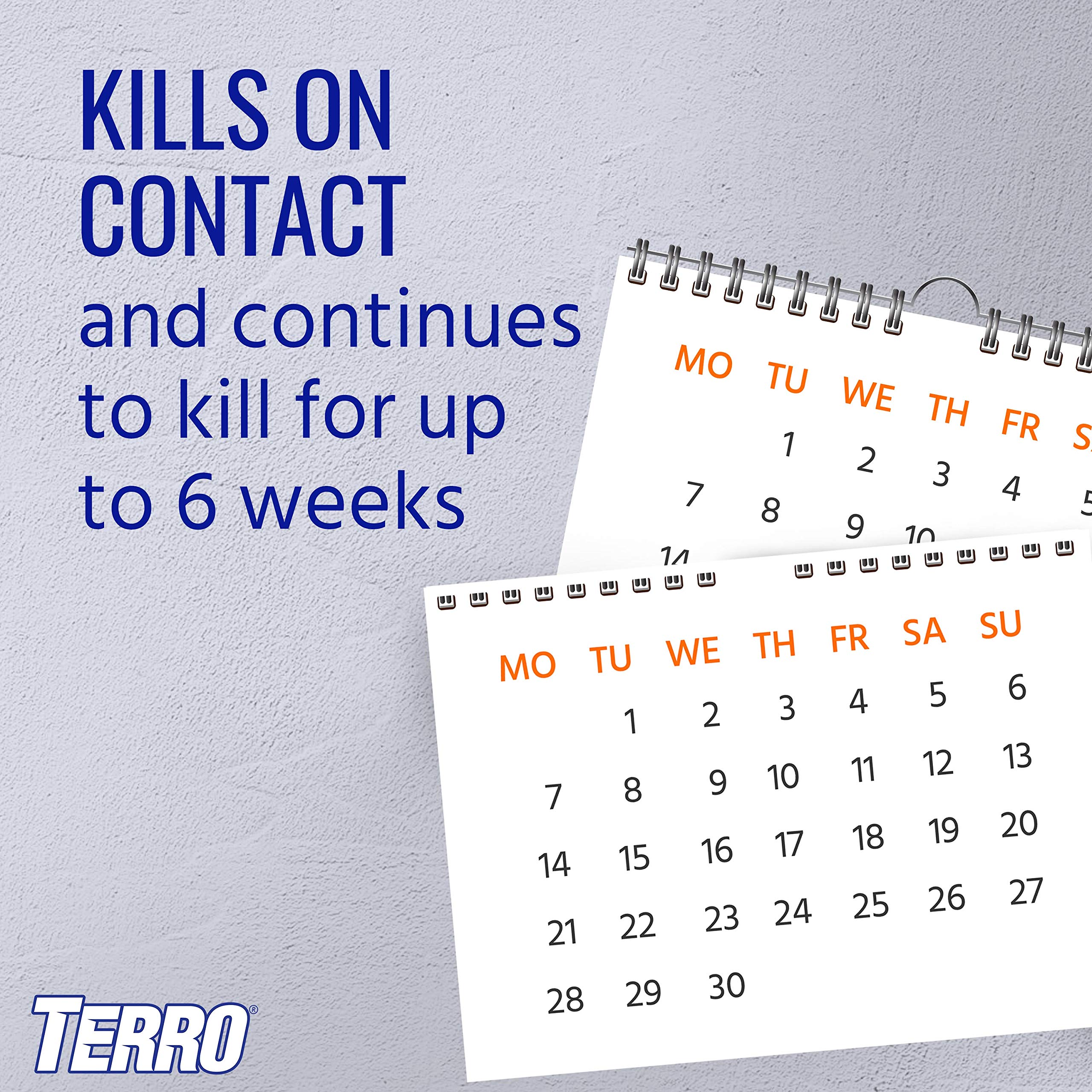 TERRO T401-6 Indoor and Outdoor Ant Killer Aerosol Spray - Kills Ants, Cockroaches, Crickets, Scorpions, Spiders, and Other Insects - 16 Oz