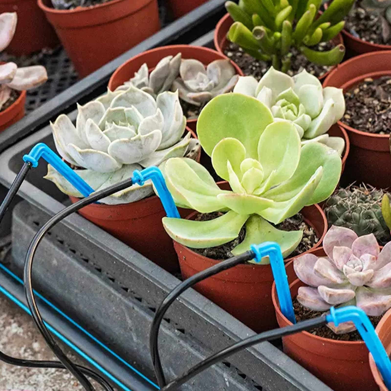 Solar Irrigation System, Automatic Drip Irrigation Kits, Watering System for Potted Plants Outdoor, Automatic Plant Self Watering Devices for Balcony, Plant Bed (6 Timing Modes, Supported 10-15 Pots)