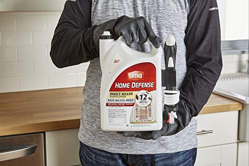 Ortho 0221710 Home Defense Insect Killer for Indoor & Perimeter2 Pull 'n Spray, 1.33 gal