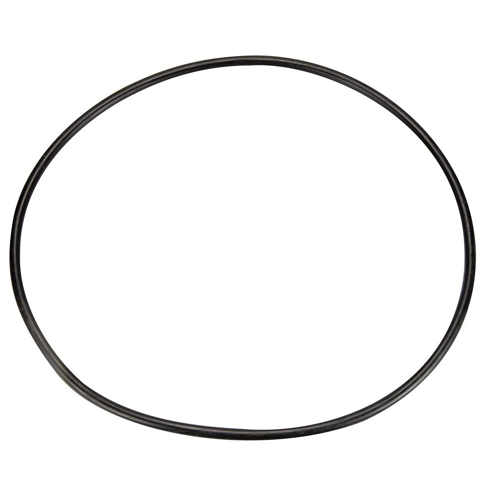 Pentair U9-228A O-Ring for Seal Plate, Round