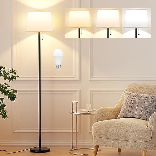 Raexpectis Floor Lamps for Living Room - 3 Color Temp(3000/4000/5000K) Standing Lamp with Pull Chain Switch, Black Floor Lamp with Lampshade, Modern Tall Light for Bedroom Office(9W Bulb Included)