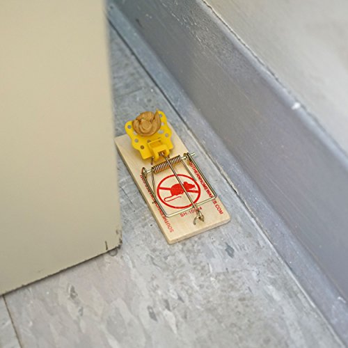Southern Homewares Wooden Snap Rat Trap Spring Action with Expanded Cheese Shaped Trigger 5 Pack