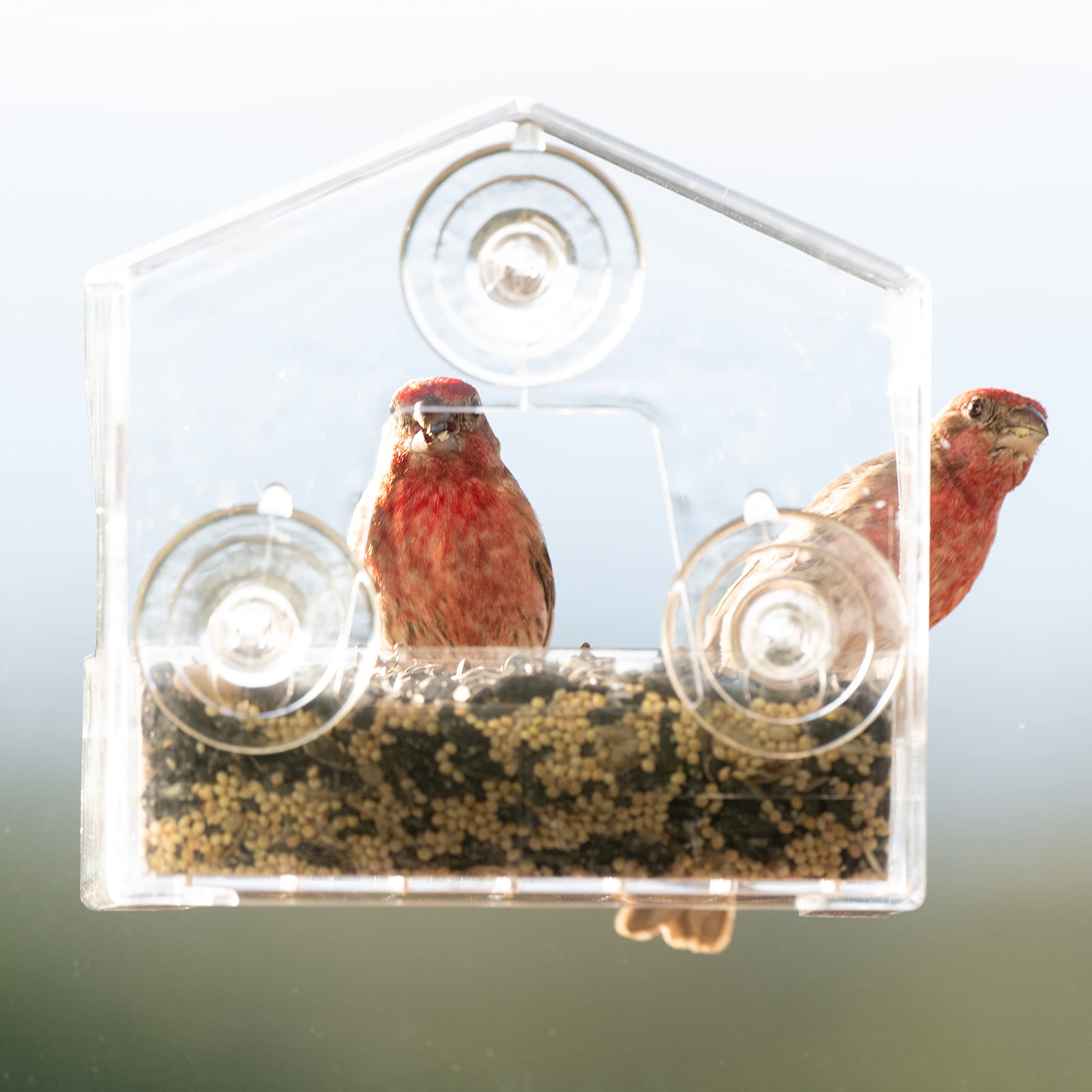 Perky-Pet 345 Clear Outdoor Window Bird Feeder with Strong Suction Cups β 1/2 Lb Seed Capacity