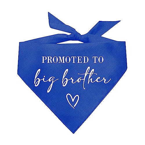 Promoted to Big Brother Baby Announcement Dog Bandana (Royal, OS 637)