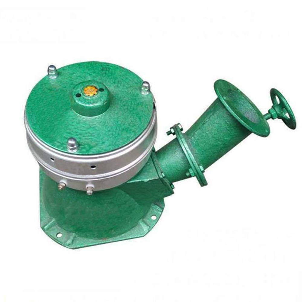 QIZHI Micro Hydro Water Turbine Generator US Plug for Household Lighting TV Electric Furnace ect US Stock(110V 500W)