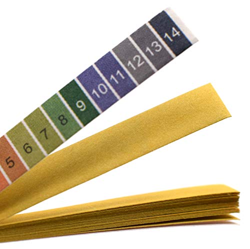 pH Test Strips 1-14 Range, 100 Testing Papers (20 x 5 Booklets) - for Acid & Alkaline Levels, Water, Soil, Wine, Soap-Making, Chemistry, Pool - Eisco Labs