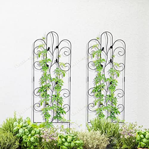 XYADX Metal Garden Trellis for Climbing Plants & Roses 61''x 18.5" Plants Support Rustproof Sturdy Leaves Garden Trellis for Vegetables Trellis for Potted Plants Pack of 2 - Black