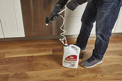 Ortho 0221710 Home Defense Insect Killer for Indoor & Perimeter2 Pull 'n Spray, 1.33 gal