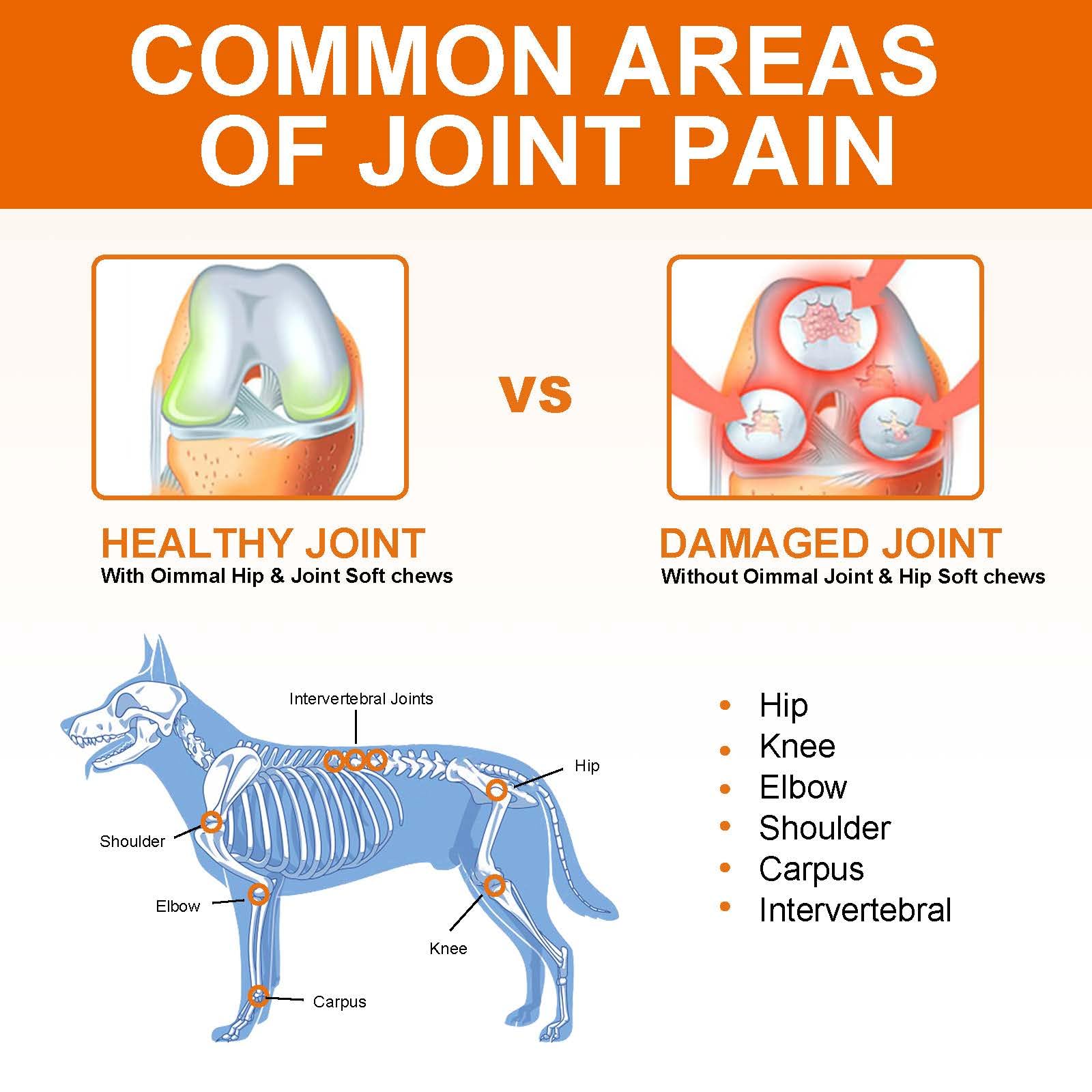 ZIXAOK Glucosamine for Dogs - Hip & Joint Supplement (150 Tablets, 13.2 oz) - Chews with Chondroitin, MSM & Hemp Oil for Arthritis Relief & Enhanced Mobility for All Breeds