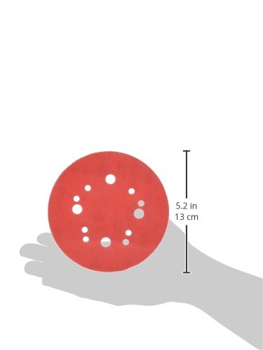 Random Orbit Sanding Disc, 5-Inch