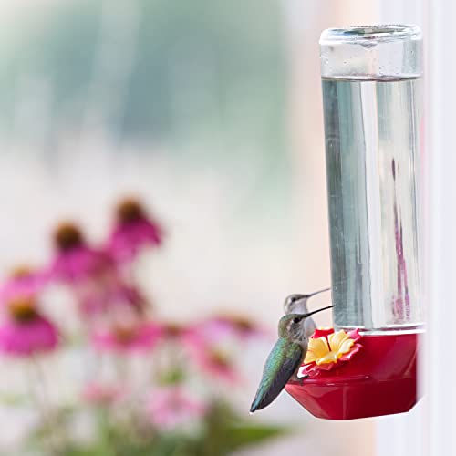 Perky-Pet 455-2 Mounted 445-2 Glass Window Hummingbird Feeder, Red β 14 oz