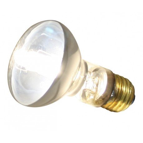 Halogen Heat Lamp