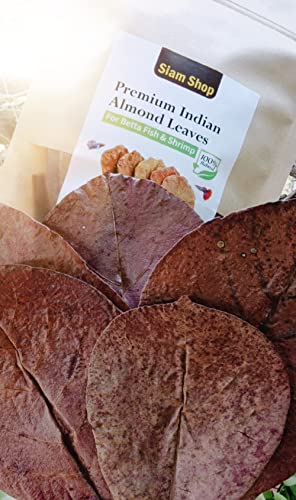 Pufa SIAM Shop Premium Indian Almond Leaves Medium Catappa for Betta Fish & Shrimps|Best Betta Fish / Shrimp Leaves |Indian Catappa Almonds Naturally sourced Almond Leaves Help Boost immunity50 g.