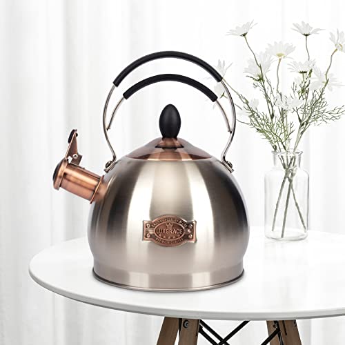 Whistling Tea Kettle Stainless Steel Teapot, Teakettle for Stovetop Induction Stove Top, Fast Boiling Heat Water Tea Pot 2.6 Quart