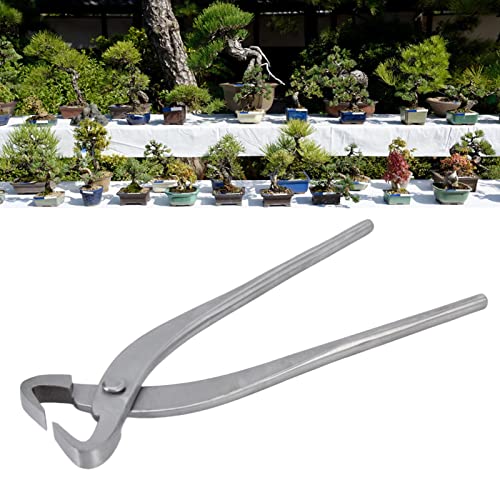 MIGONG Bonsai Scissors, 210Mm Profession Bonsai Tools Portable Tree Branch Cutter Stainless Steel Bonsai Bonsai Tree Kit for Even Flowers Fruit Trees Bonsai Garden Plants Home Plants