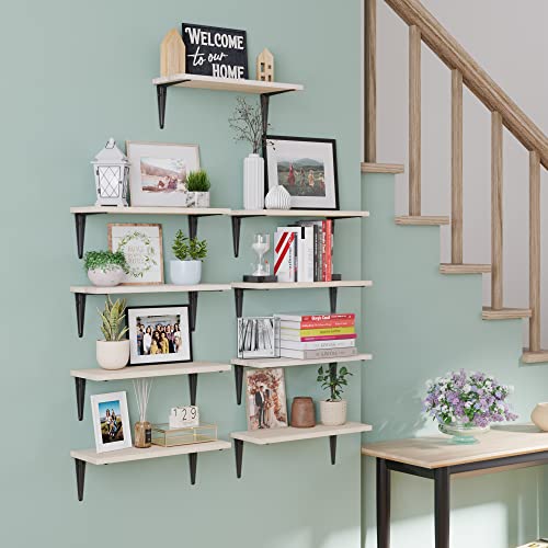 Wallniture Arras Floating Shelves for Wall Decor, Bookshelf Living Room Decor Kitchen Organization, Hallway & Office Decor Wall Shelves for Bedroom Natural Board Set of 9