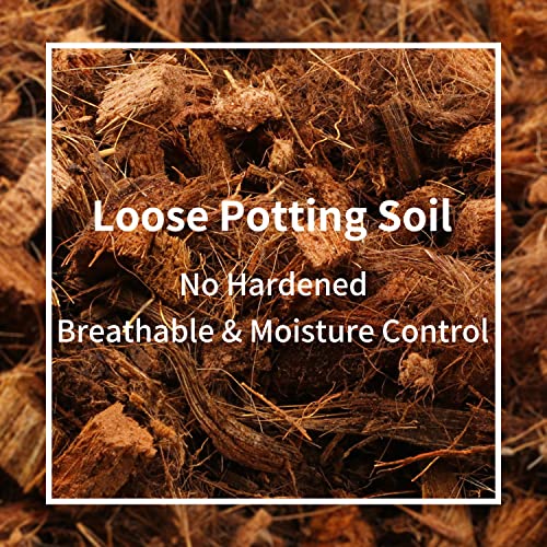 Orchid Potting Soil, Organic Barks Coconut Potting Soil Mix- 6 Qt, All Purpose Orchids Bricks Coarse Blend, Fast Draining Pre-Mixed Bonsai Soil for Indoor Orchid Plants 6L