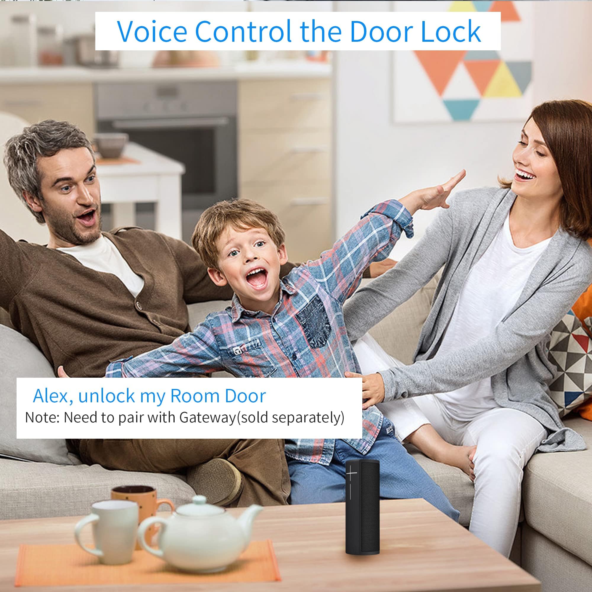 HARFO Fingerprint Door Lock with Touchscreen and OLED Display, Keyless Entry Door Lock with Keypad, Door Level, Passcode Door Lock for Office Home (Aged Bronze)