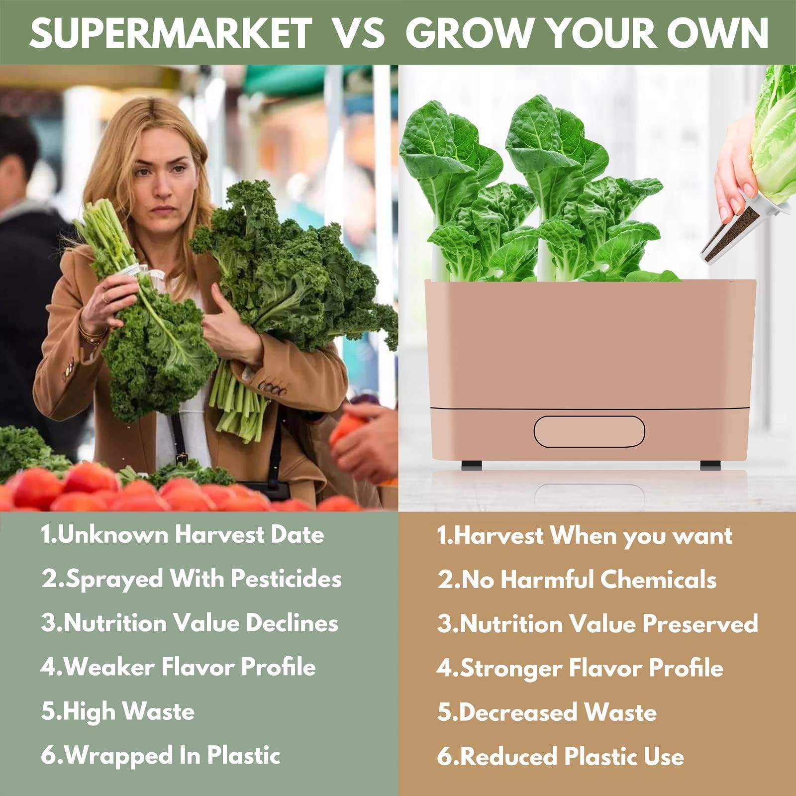 Heirloom Salad Greens Pod with Seed, 12-Pods(350 Seeds+, Include Green Leaf Lettuce, Paris Island Lettuce, Buttercrunch Lettuce, Arugula, Broccoli, Green Chard, and Spinach)
