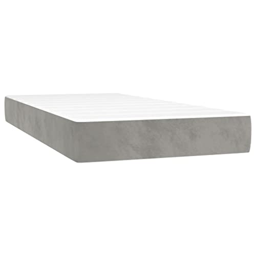 vidaXL Bed Frame, Box Spring Bed Single Platform Bed, Bed Frame Mattress Foundation with Headboard for Bedroom, Light Gray Twin XL Velvet