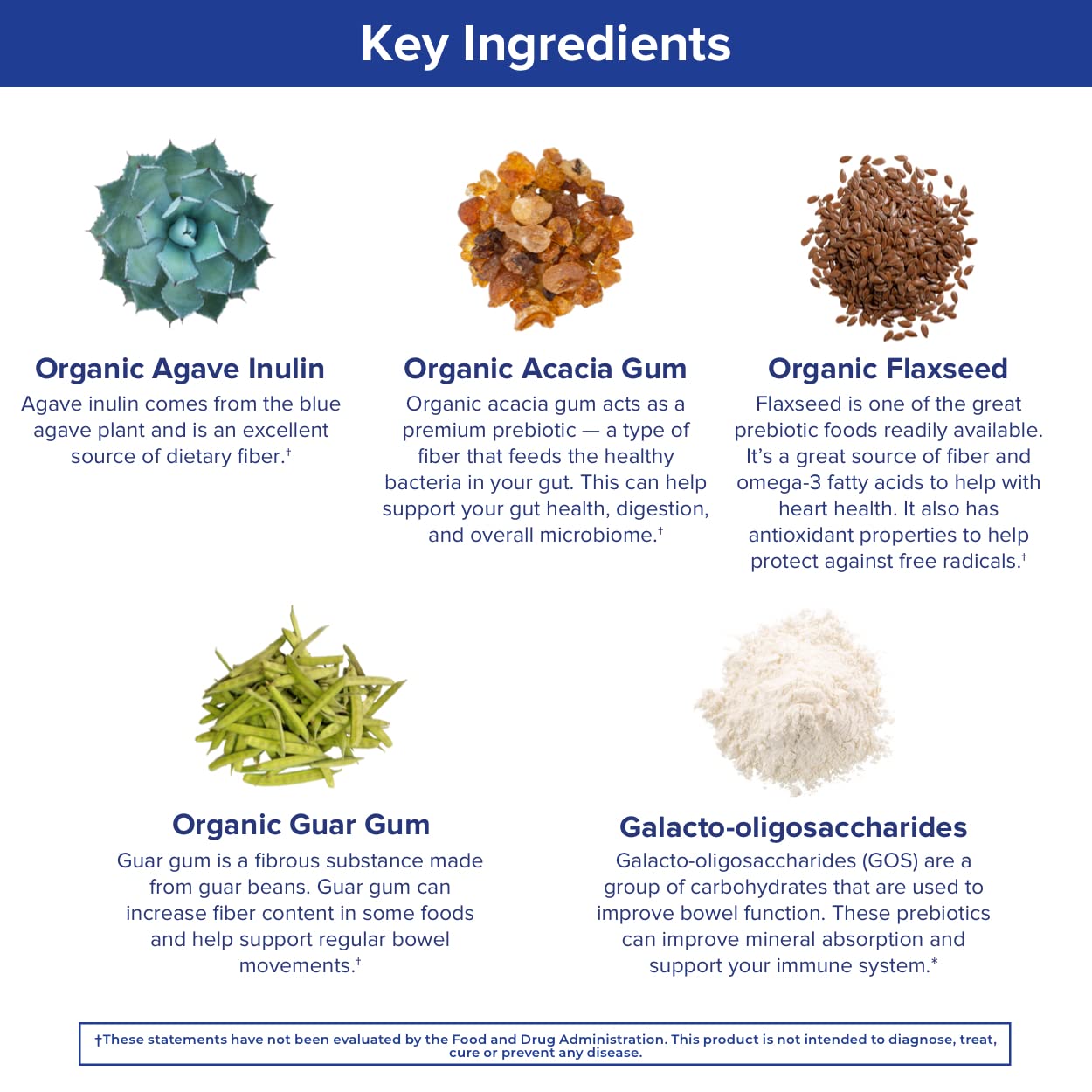 Gundry MD® PrebioThrive™ Prebiotic Supplement for More Comfortable Digestion, Gut Health and a More Balanced MicroBiome, Unflavored Powder - (30 Servings)
