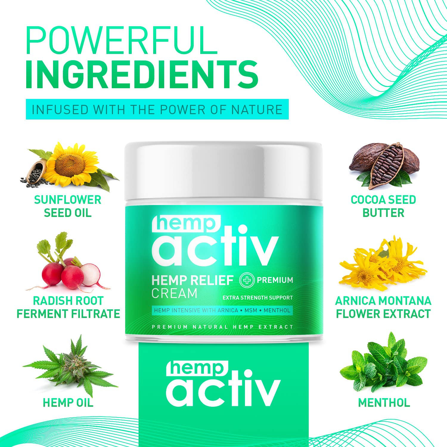 HEMPACTIV Joint & Muscle Relief Cream, Infused with Hemp, Menthol, MSM & Arnica, Soothe Discomfort in Your Back, Muscles, Joints, Neck, Shoulder, Knee, Nerves - 2 Fl Oz