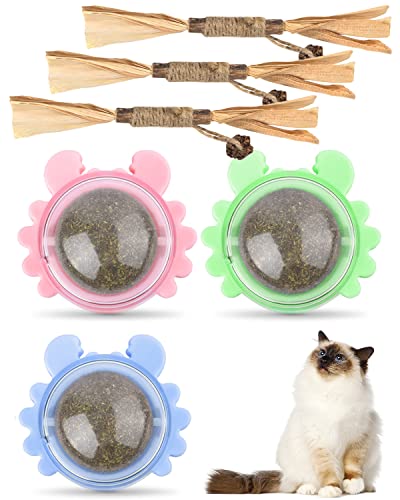 TINDTOP Catnip Balls & Silvervine Sticks Kit, Natural Catnip Toys for Kittens Teeth Cleaning, Matatabi Dental Care, Increase Appetite, Calm Cat Anxiety and Stress, Aggressive Chewers Cat Dental Toy