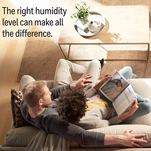 Honeywell Replacement Wicking Filter T, 3 pack, white, 3 Count