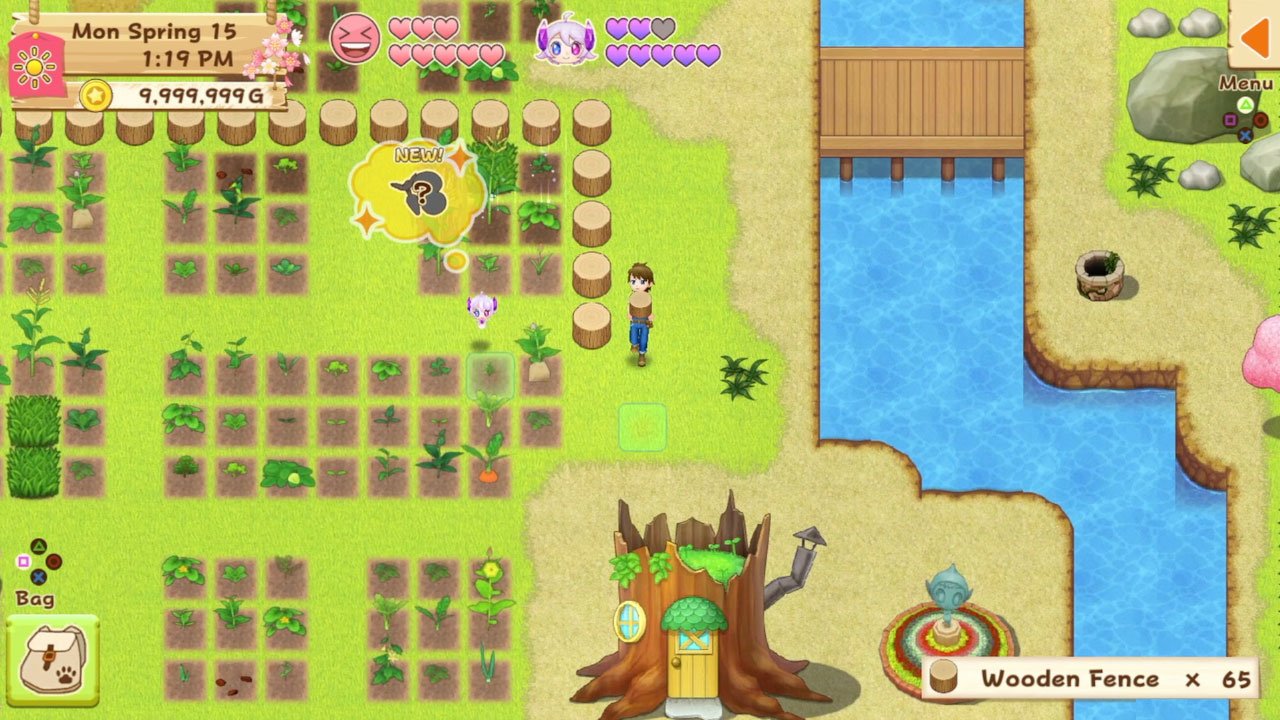 Harvest Moon: Light of Hope Special Edition - PlayStation 4