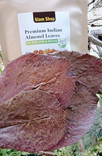 Pufa SIAM Shop Premium Indian Almond Leaves Medium Catappa for Betta Fish & Shrimps|Best Betta Fish / Shrimp Leaves |Indian Catappa Almonds Naturally sourced Almond Leaves Help Boost immunity50 g.