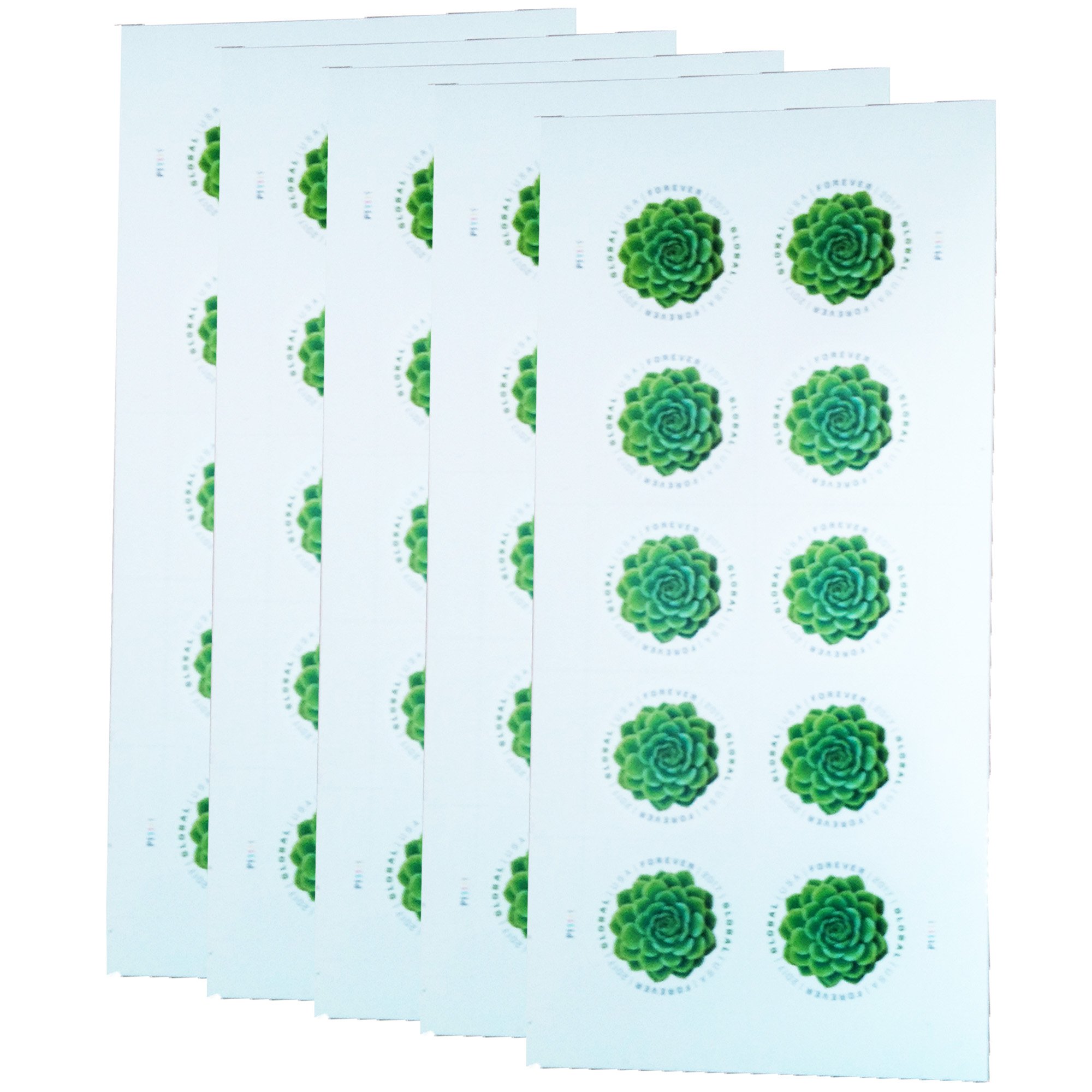 Green Succulent Sheet of 10 Global USPS First Class International Forever Postage Stamps (5)