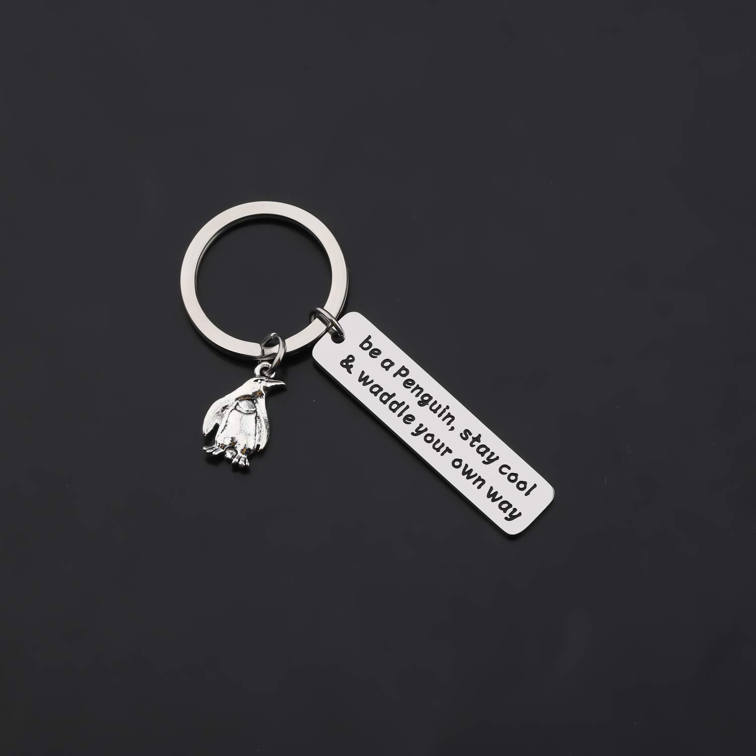 Gzrlyf Penguin Keychain Inspirational Penguin Gifts for Penguin Lovers Be a Penguin Stay Cool and Waddle Your Own Way (be a Penguin)