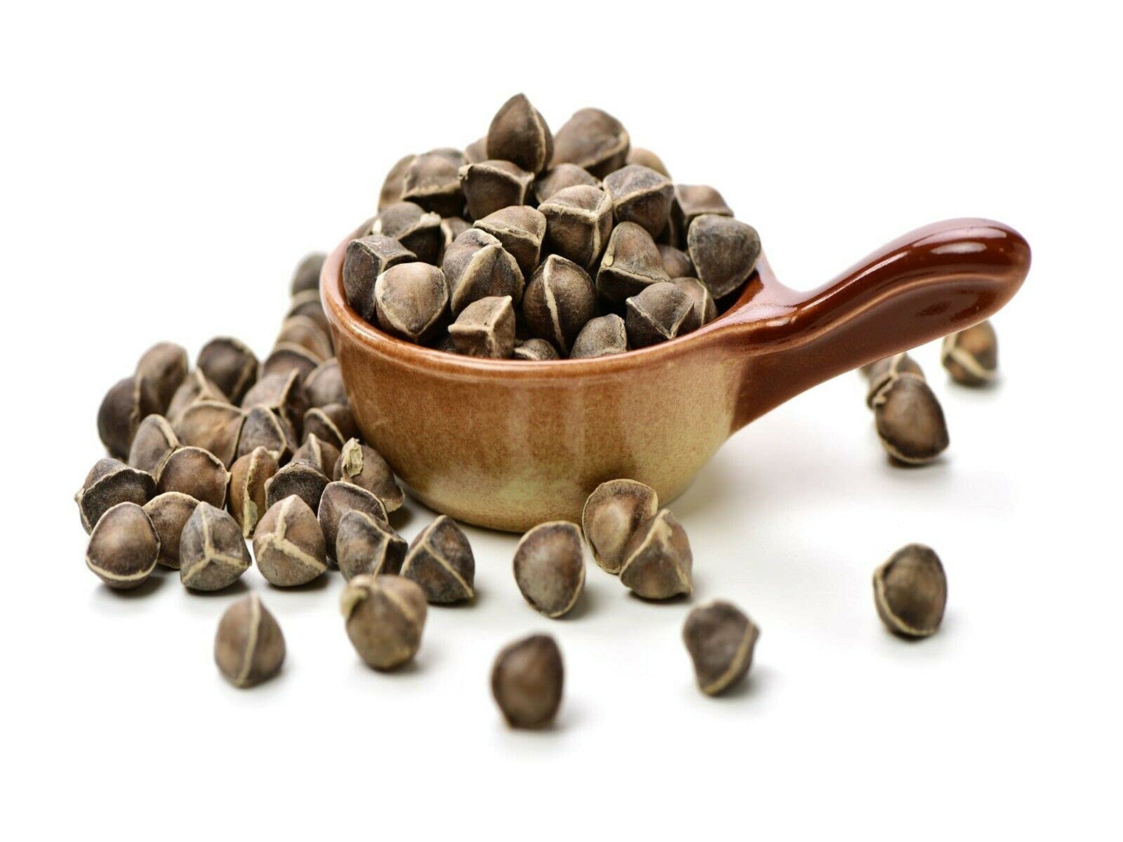 Moringa Seeds Wingless 1 lb. Wide Mouth JAR - PKM1 Variety - Edible Snacking - Planting - Moringa Oleifera - Malunggay - Semillas De Moringa - Drumstick Tree - Non-GMO - 1600 to 2000 Seeds