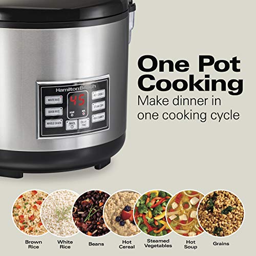 Hamilton Beach Digital Programmable Rice Cooker & Food Steamer, 20 Cups Cooked (10 Uncooked), With Steam & Rinse Basket, Stainless Steel (37543)
