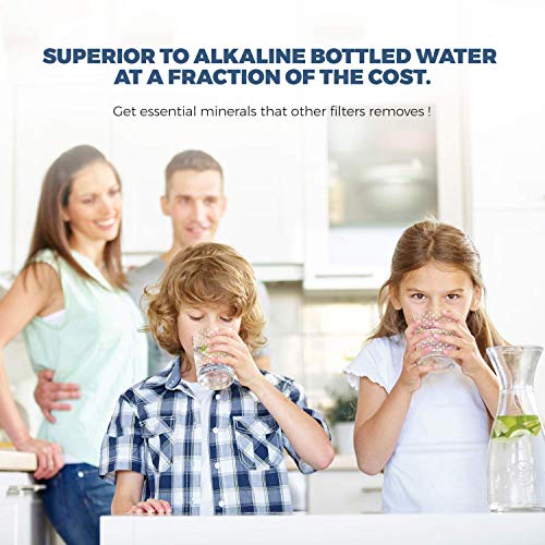 Premier Water Systems Portable Counter Top Alkaline Reverse Osmosis Water Filtration System - 50 GPD