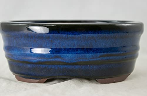 Oval Shohin Bonsai Pot, Cactus & Succulent Planter + Mesh 6"x 4.5"x 2.5" - Blue Stain Glazed