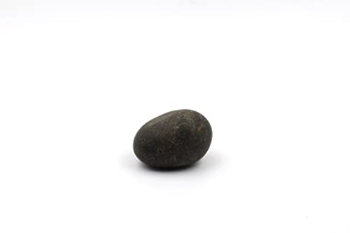 WW Will and Weaves Shaligram Shila Natural Stone Laxmi Narayan Abhimantrit Shree Shaligram with Box