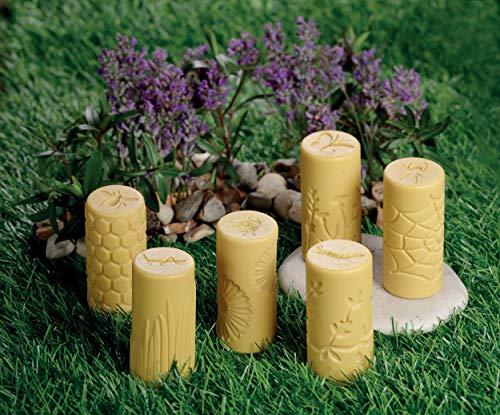 Yellow Door Let's Roll,Garden Bugs, Set of 6