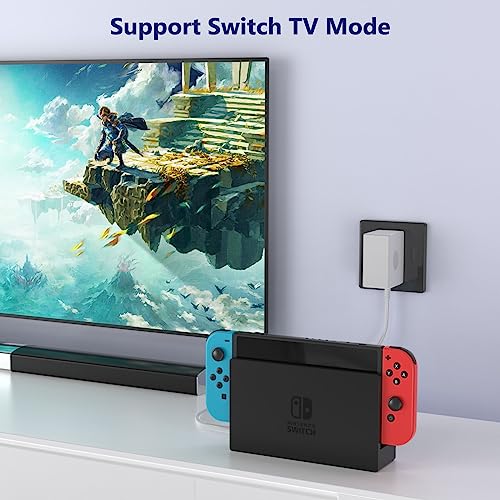 YCCSKY Charger for Nintendo Switch,AC Adapter for Nintendo Switch - Fast Travel Wall Charger with 5FT USB C Cable 15V/2.6A Power Supply for Nintendo Switch Supports TV Mode and Dock Station (White)