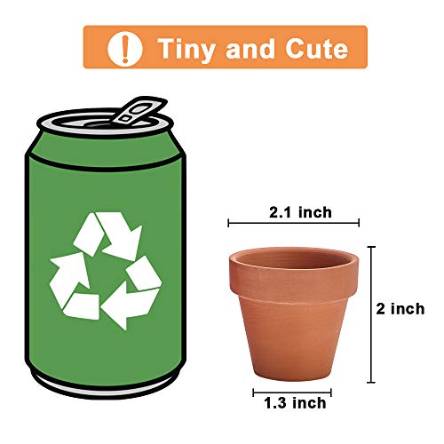Riseuvo 32pcs Small Mini Clay Pots - 2'' Terracotta Pot Clay Ceramic Pottery Planter, Cactus Flower Terra Cotta Pots, Succulent Nursery Pots, with Drainage Hole, for Indoor/Outdoor Plants, Crafts