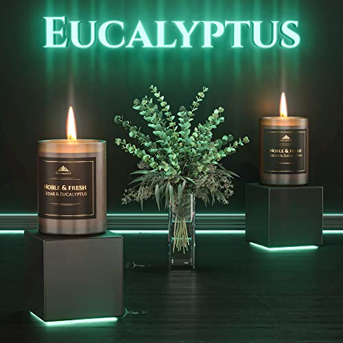 Your Majesty Cedarwood and Eucalyptus Scented Candle for Home [35 Hours Burning Time] Natural Soy Wax Candle with Essential Oils, Clean Burn Aromatherapy Candle, 5.3 Oz
