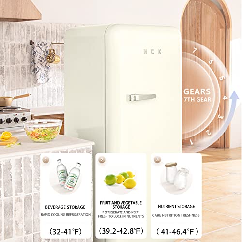 HCK Retro Refrigerator with Freezer 10 Cu.Ft,Single Door,Adjustable Shelves,Enamel Coating, ABS Interior, and Built-in Lighting,Suitable for Home Office College BC-330RD