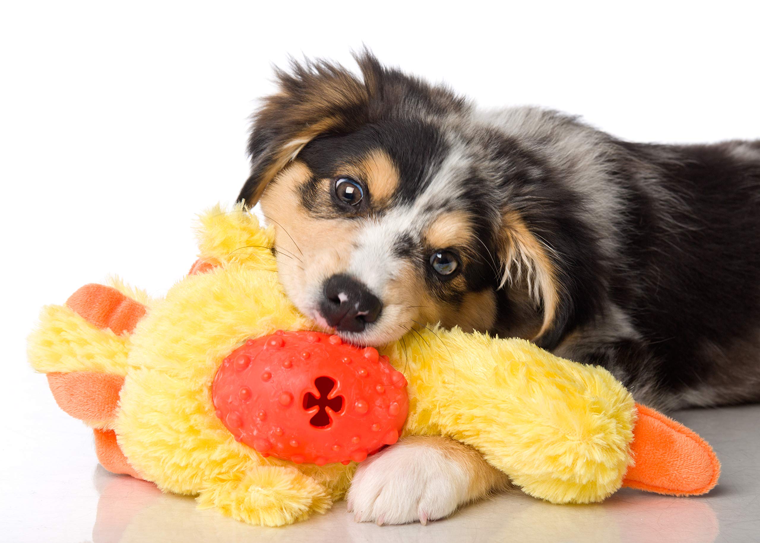Hartz Squeak & Treat Duck Treat Dispensing Dog Toy, 1 Count