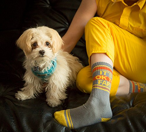 Gumball Poodle IT'S OK TO FART Socks Make A Statement, Unisex Gym Sock: Gray, Orange and Yellow